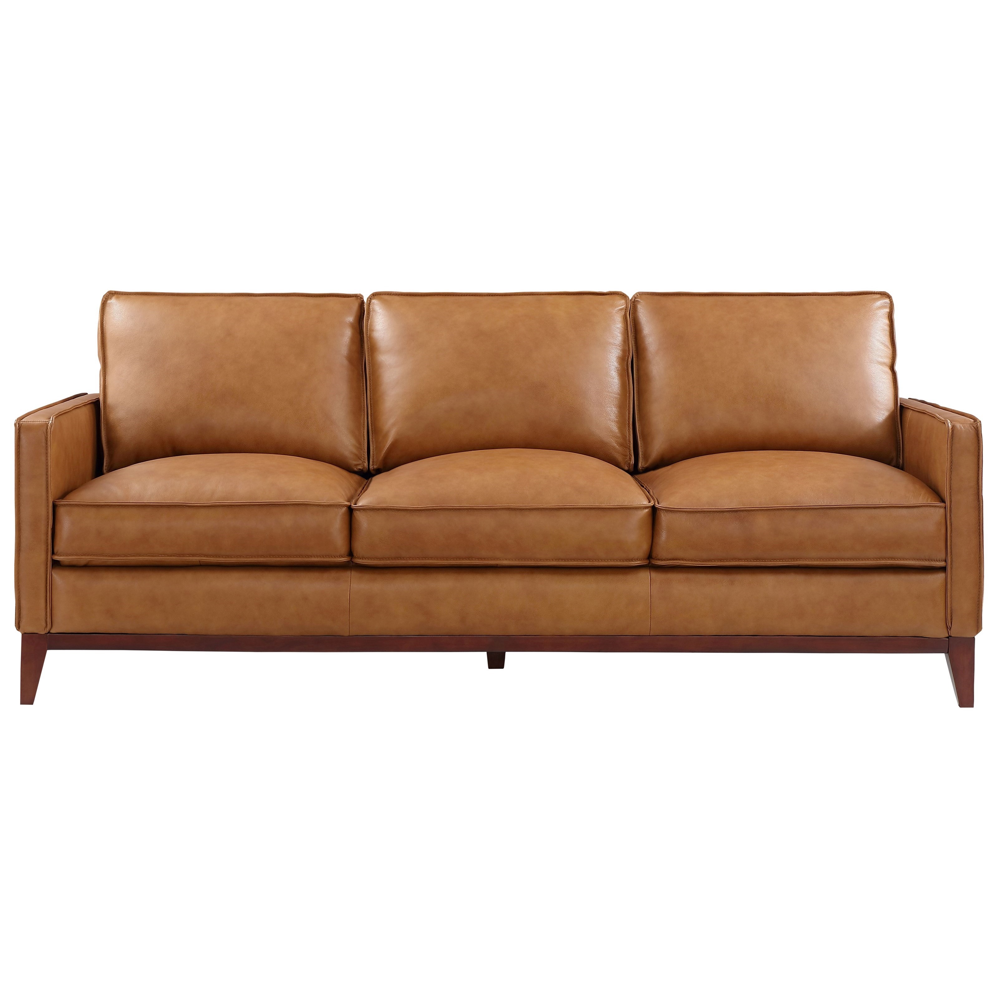 Leather Italia USA Newport LRLSOF639403 Mid Century Modern Sofa Fashion Furniture Uph Stationary Sofas